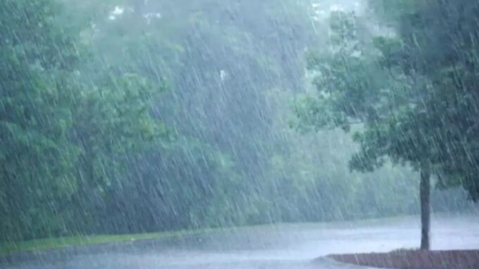 Kerala Rain Alert Chances To Likely Moderate Rain In Kerala | Rain ...