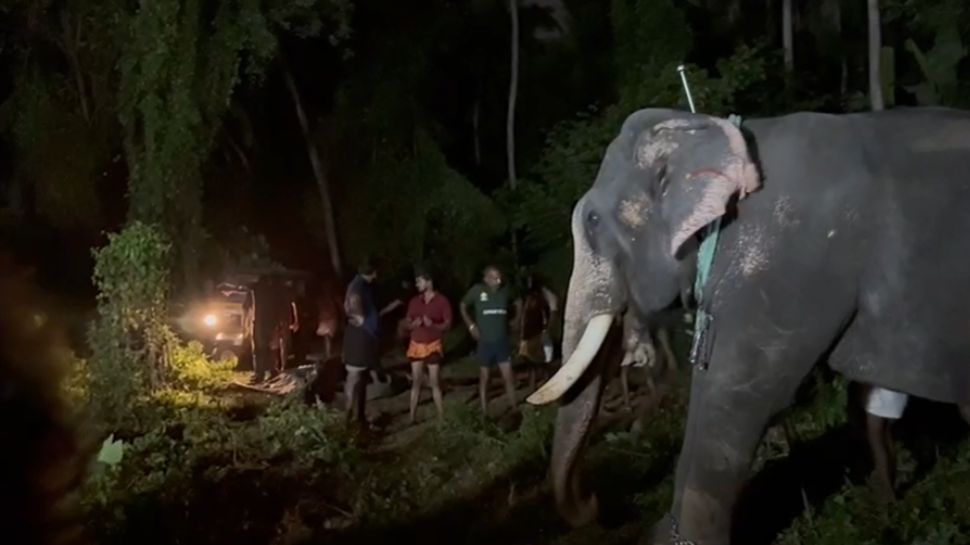 Elephant Turn Violent During Temple Festival in Thrissur Kunnamkulam ...