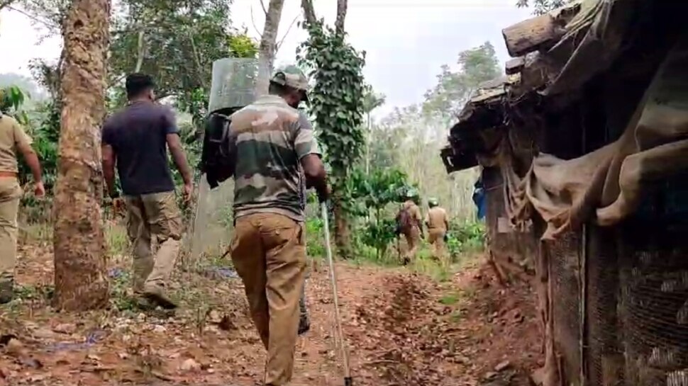 Tiger attack in wayanad vakeri search operation continues | പിടിതരാതെ ...