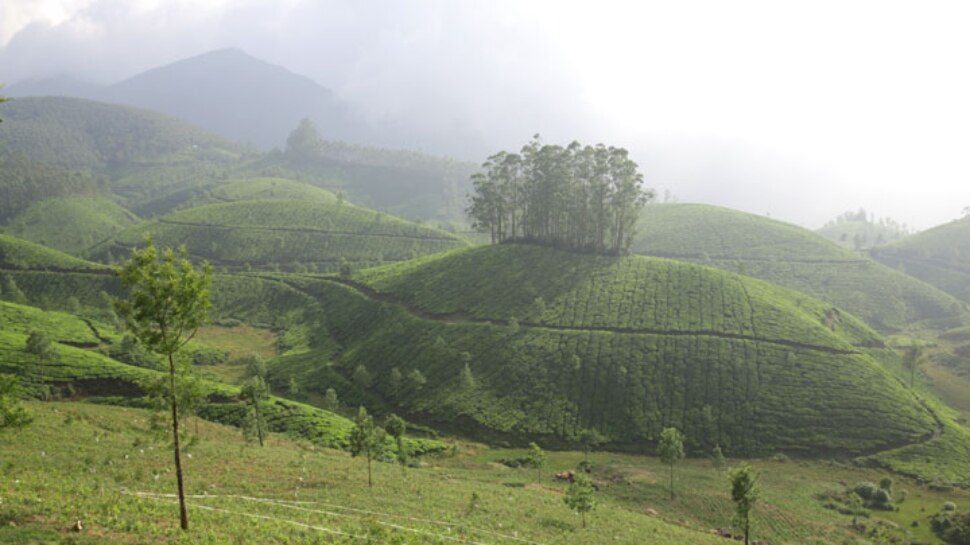 Tourists came in large numbers to Munnar temperature reached 4 Degree ...
