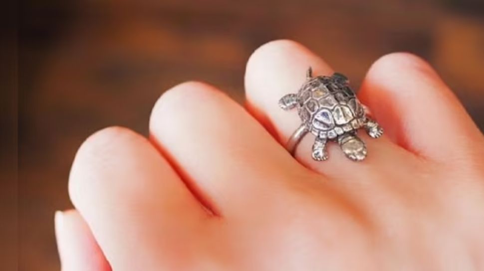 big finanacial benefits for those who wear Tortoise Ring know the secrets | സമ്പത്ത് കുന്നുകൂടും ...