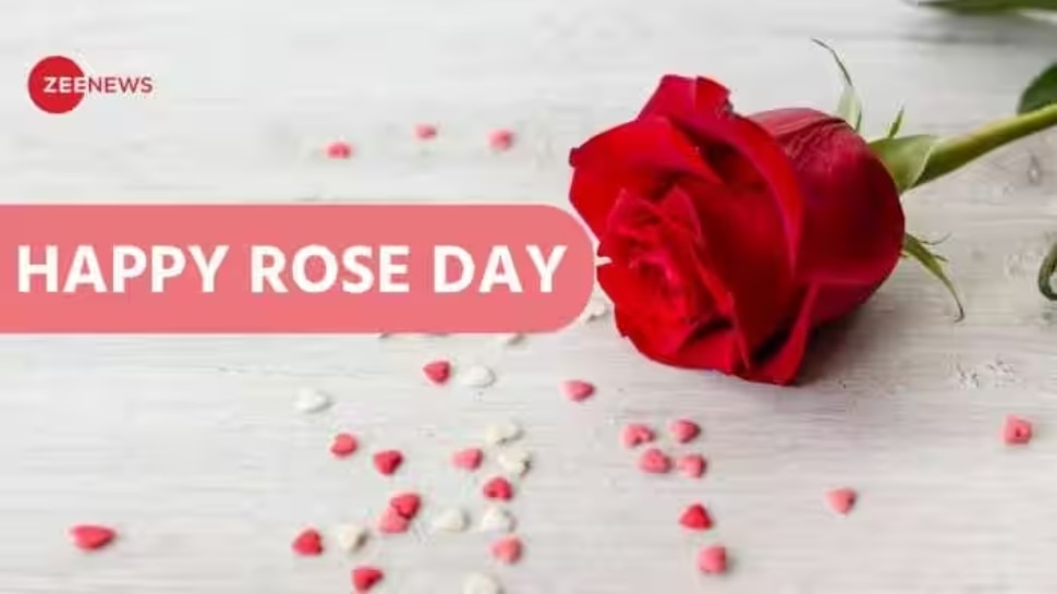 Rose Day 2024: Check out date, history and significance | ഇന്ന് റോസ് ഡേ ...