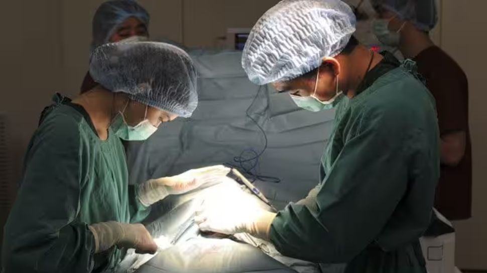 Free TIPS treatment at Kottayam Medical College Hospital what is TIPS ...