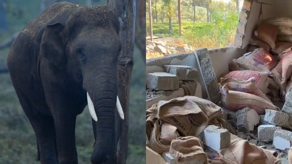 Wild Elephant attack on Ration shop in Idukki Panniyar estate ...