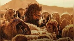 Aadujeevitham Movie News in Malayalam, Latest Aadujeevitham Movie news ...
