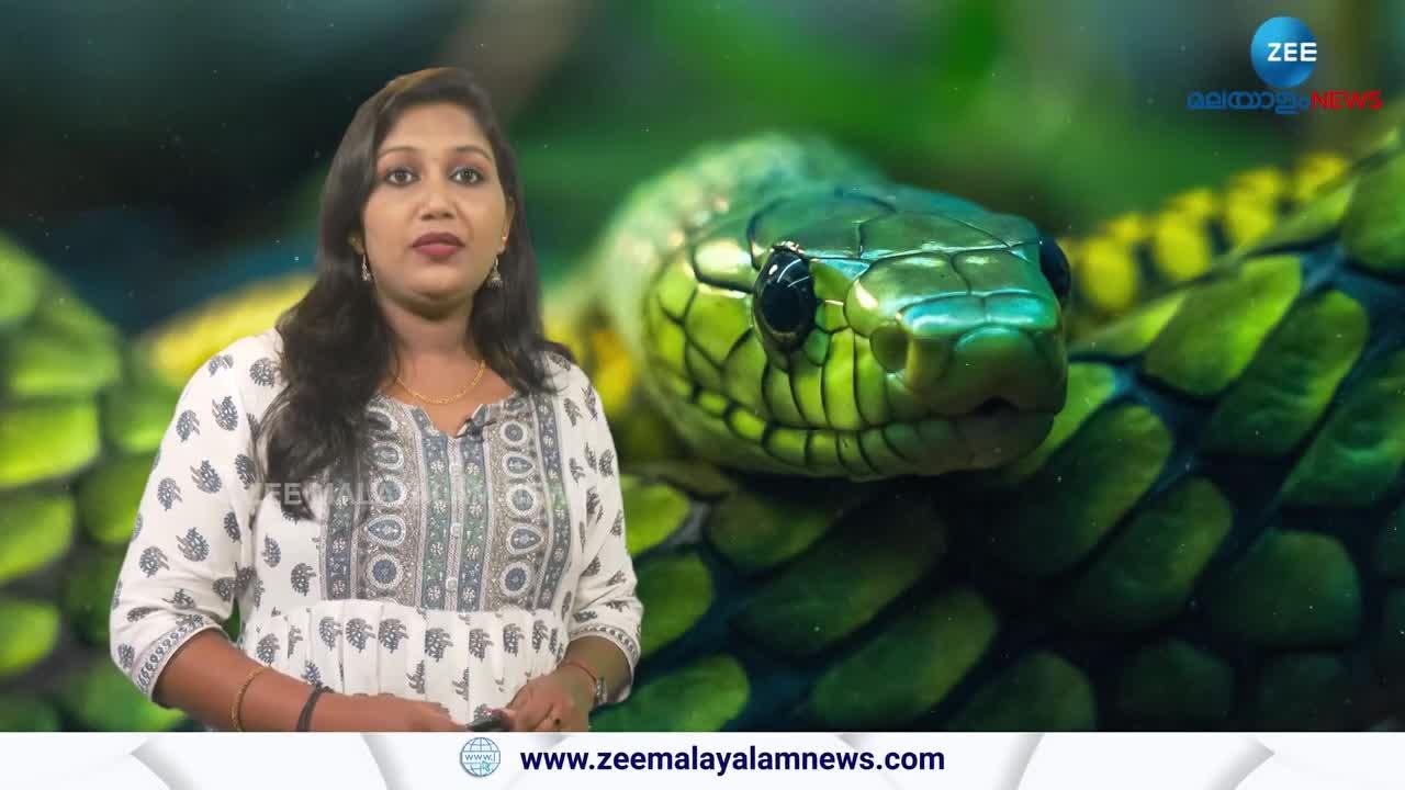 Snake: ശത്രുക്കളിൽ നിന്ന് രക്ഷ നേടാൻ ചത്ത പോലെ കിടക്കുന്ന ഈ പാമ്പുക ...
