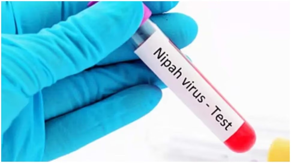 Suspected of Nipah cases in Kannur Two persons under treatment with ... Suspected of Nipah cases in Kannur Two persons under treatment with ...