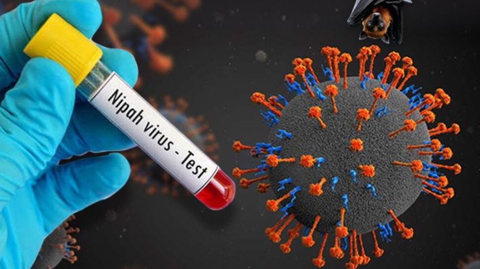 Nipah Virus Kerala Two Persons Admitted In Hospital With Symptoms | നിപ ... Nipah Virus Kerala Two Persons Admitted In Hospital With Symptoms | നിപ ...