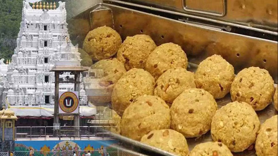 Thirupati laddu Row lab report finds presence of animal fat and fish oil in ghee used for ...