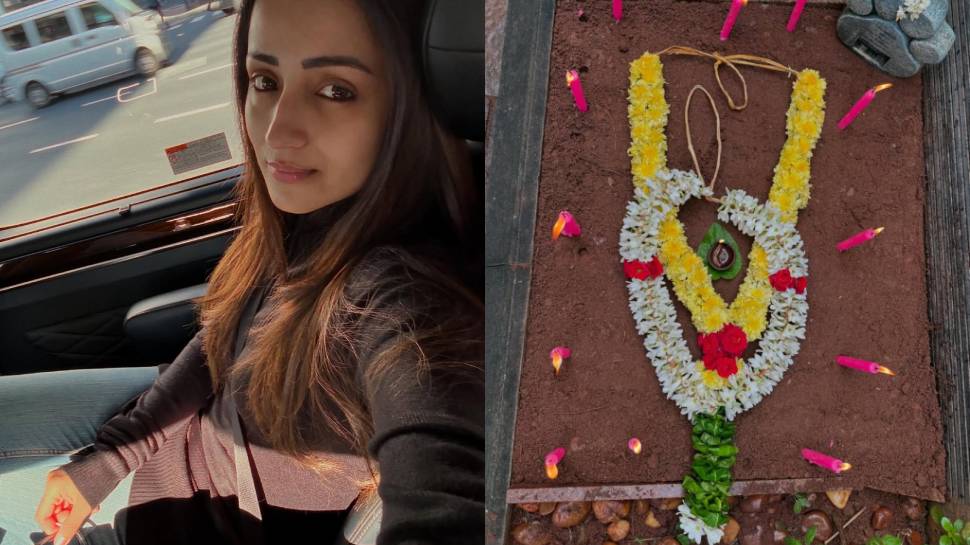 Actress Trisha going to take break from movies after her pet dog death ...