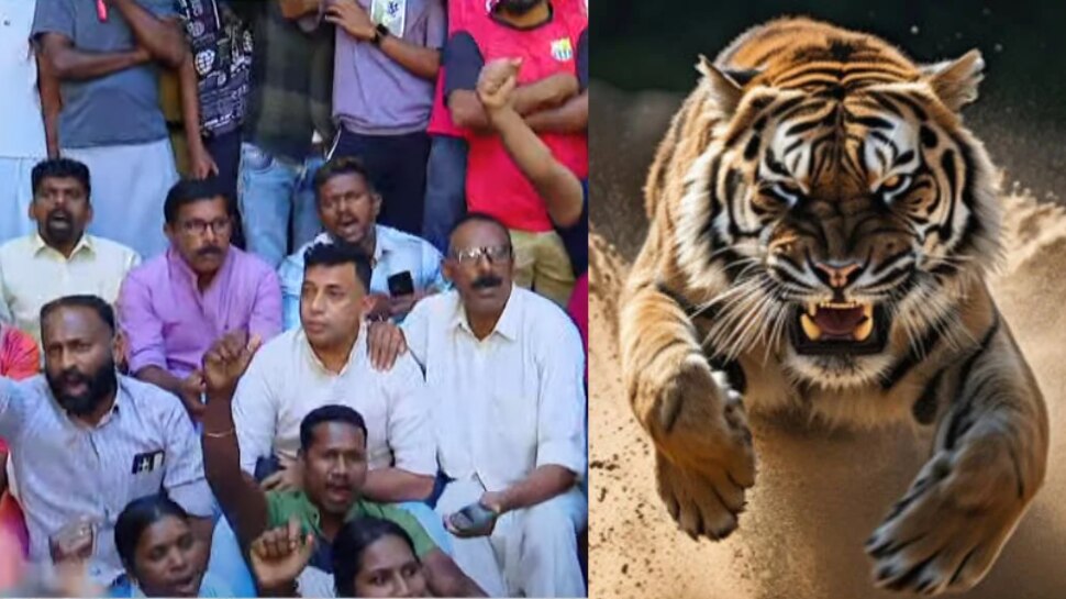 Mananthavady Tiger Attack locals protest the delay of the tiger mission ...
