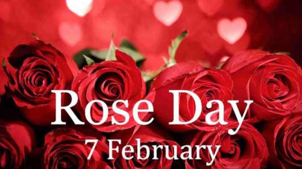 Happy Rose Day 2025 Beautiful wishes, quotes and messages to express ...