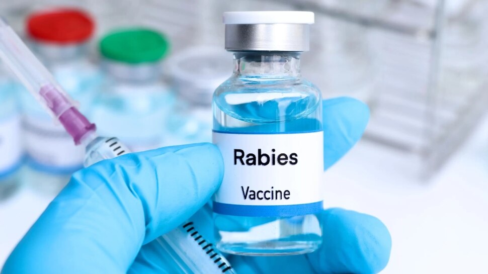 13 year old girl died after detect rabies infection | Rabies Vaccine ...