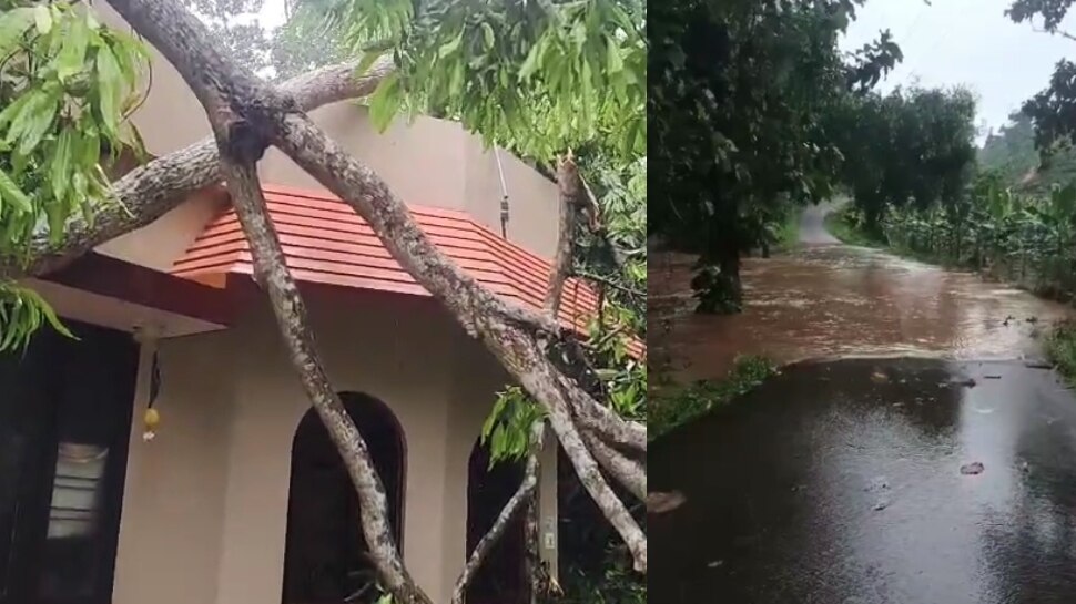 Kerala Monsoon 2025: Monsoon arrives in Kerala Keralas earliest monsoon ...