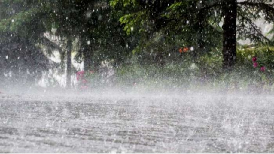 Kerala Weather Update Heavy Rain In Kerala Red Alert Issued In 3 ...