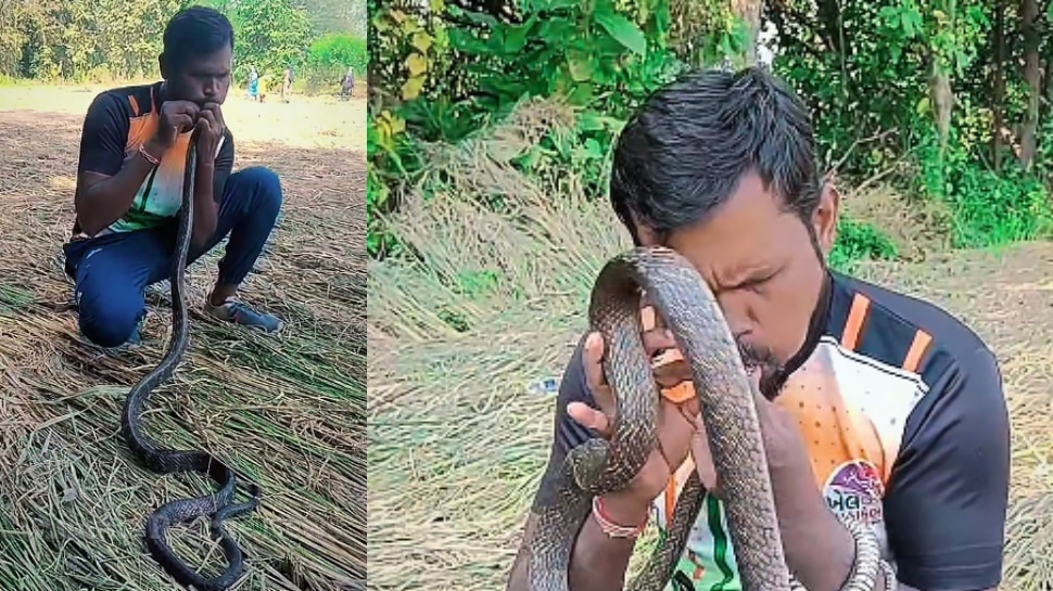 Viral Snake Video: Snake CPR Video: Man Performs Mouth To Mouth CPR To ...