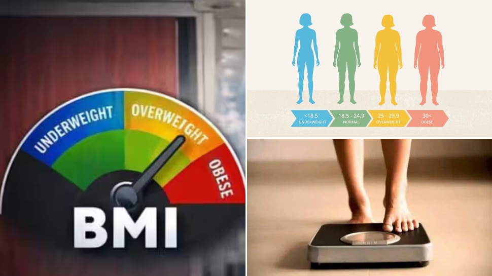 world health day 2026: which weight category do you belong to lets ...