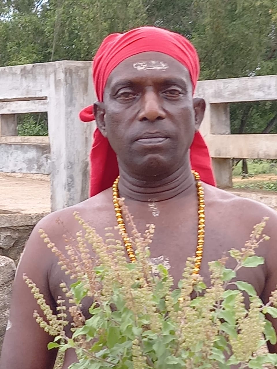 Maadan Movie Clinches its 100th Award From South Korean Movie Festival ...