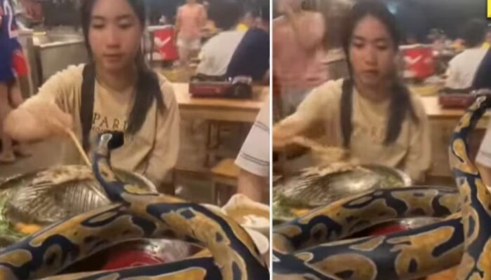 Omg viral video women dine with giant python know the truth behind this ...
